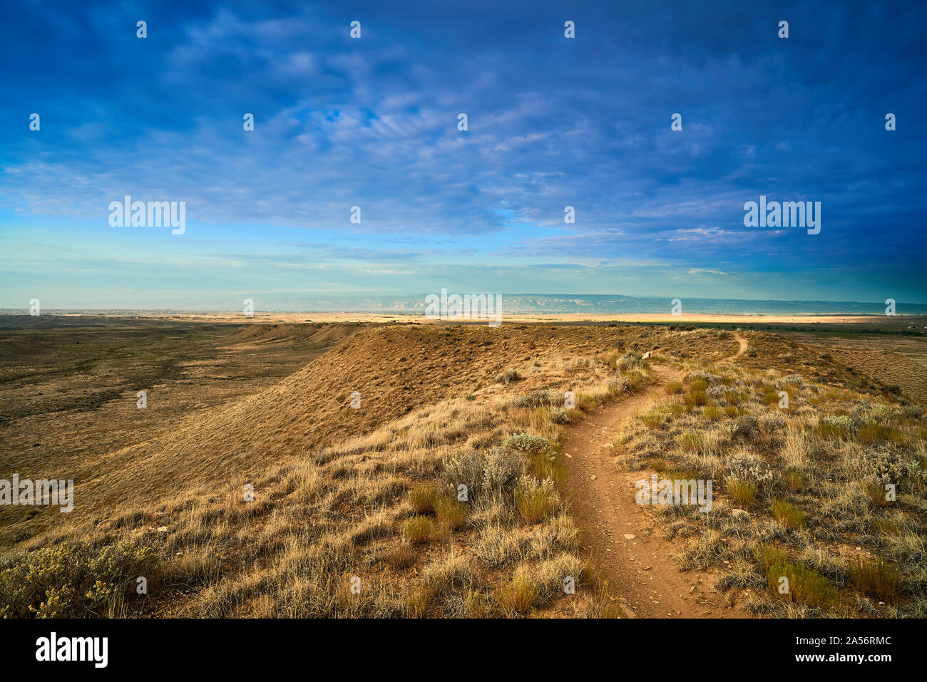 Mountain Bike Trail at Fruita, CO Stock Photo - Alamy