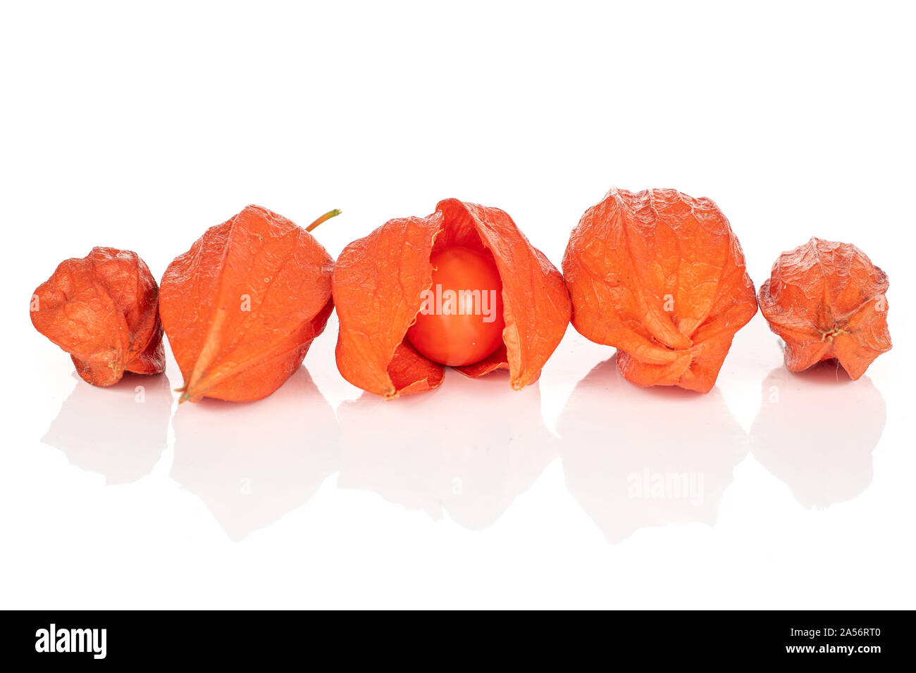 Group of five whole fresh orange physalis isolated on white background ...