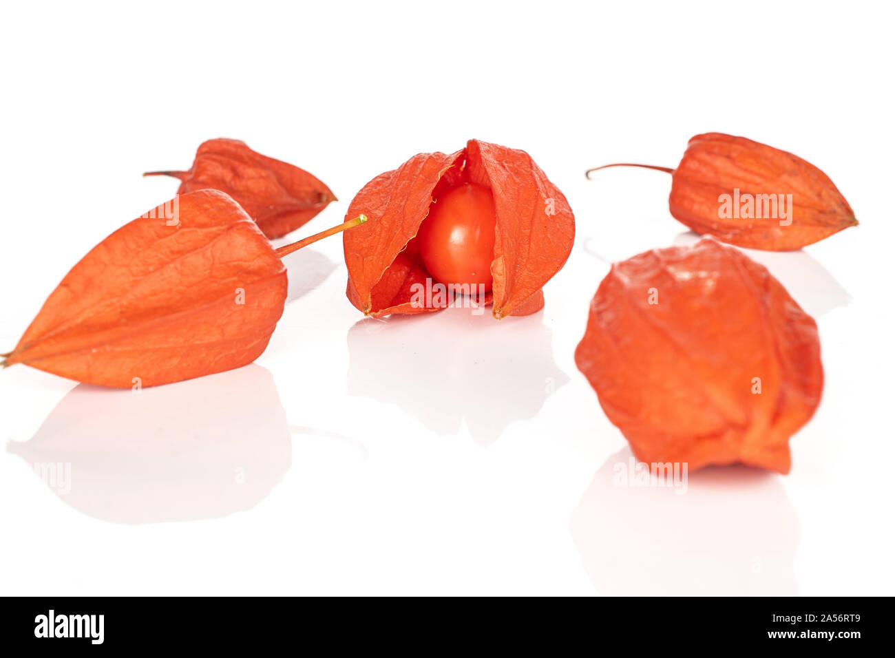 Group of five whole fresh orange physalis isolated on white background ...