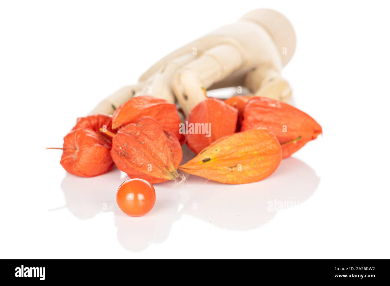 Lot of whole fresh orange physalis with wooden hand isolated on white ...