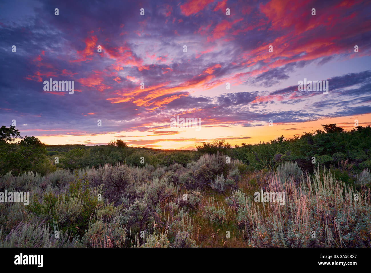 Sunset on Alpine Mountain Stock Photo - Alamy