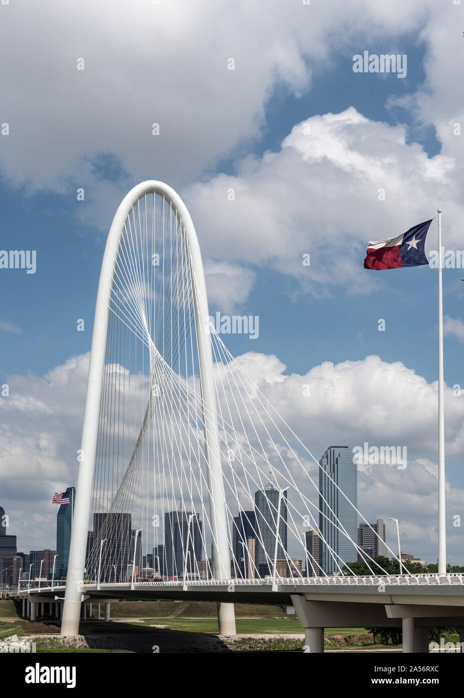 View of the Margaret Hunt Hill Bridge, a Santiago Calatrava-designed ...