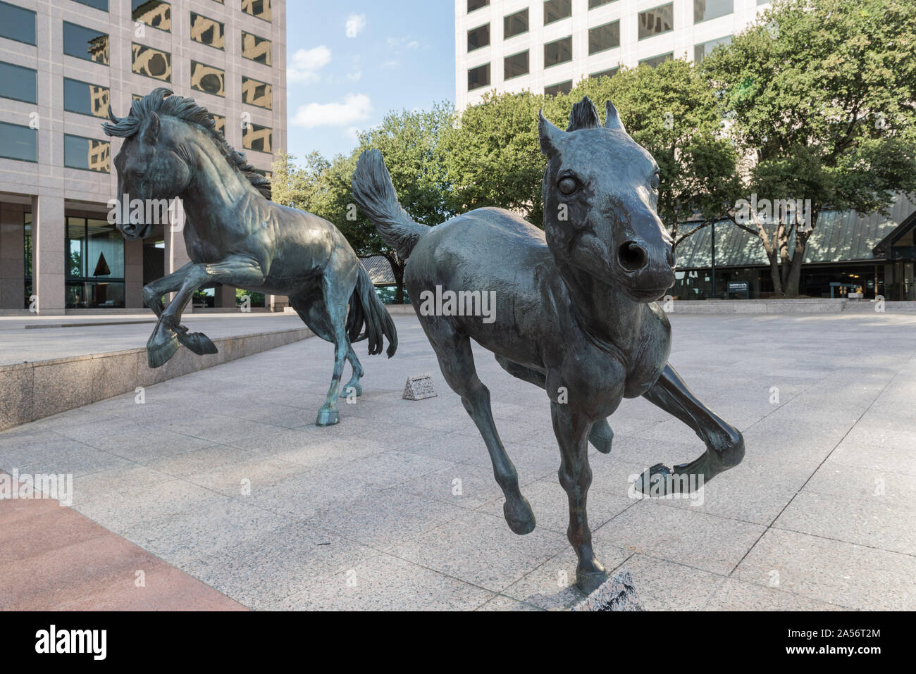 View of the Mustangs of Las Colinas sculpture in the upscale Las ...