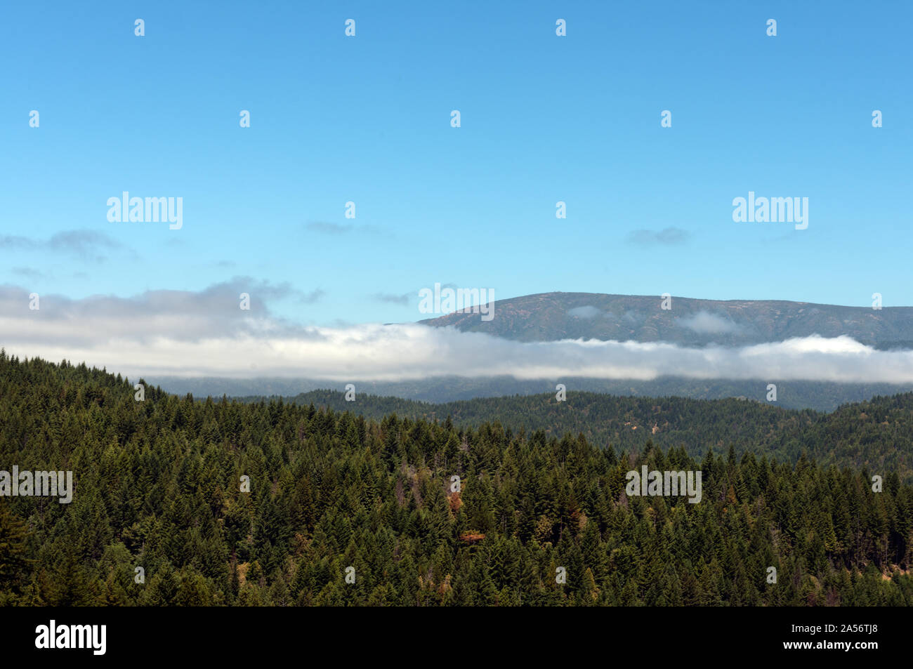 View of the Trinity National Forest in Northern California Stock Photo ...