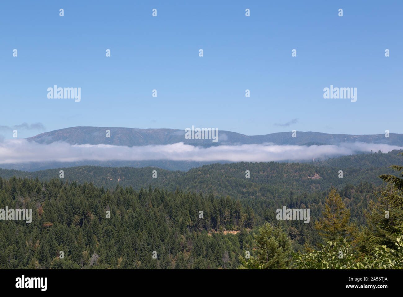 View of the Trinity National Forest in Northern California Stock Photo ...