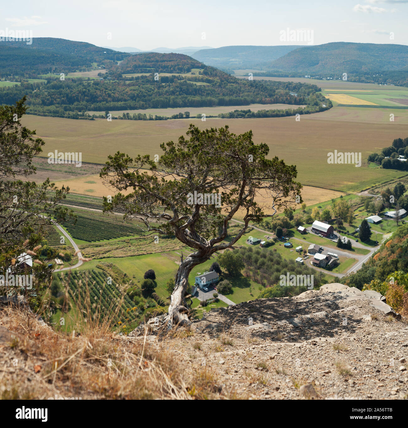 Valley Landscape With Tree and Buildings Stock Photo - Alamy