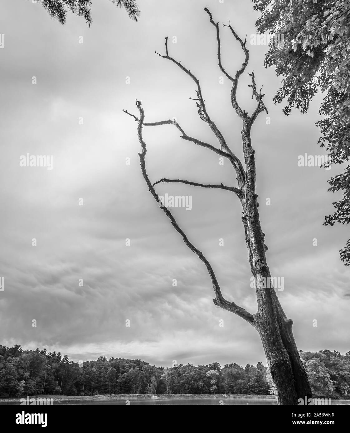 Kendall lake hi-res stock photography and images - Alamy