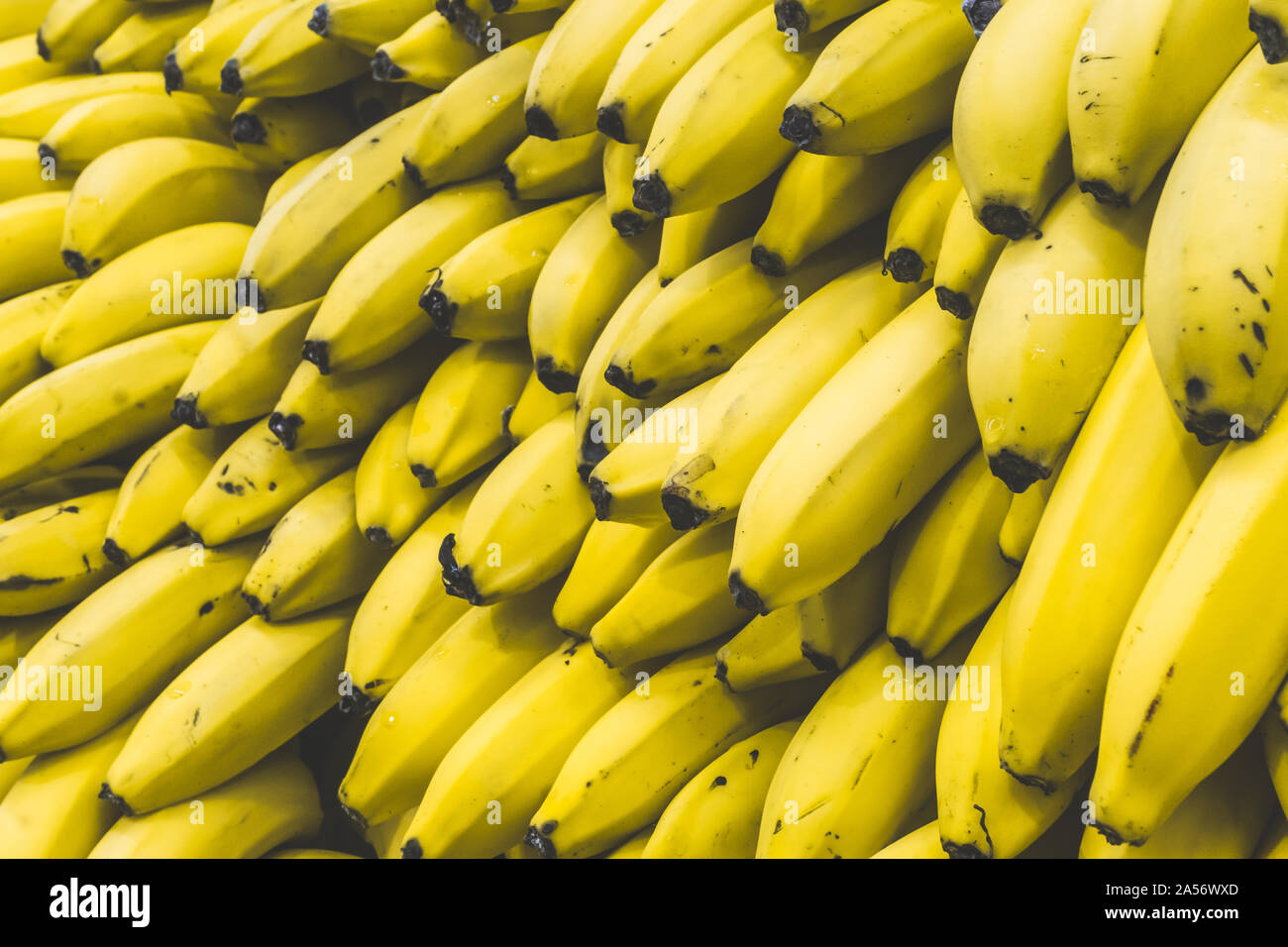 A bunch of bananas in the market. Many ripe yellow bananas on a ...