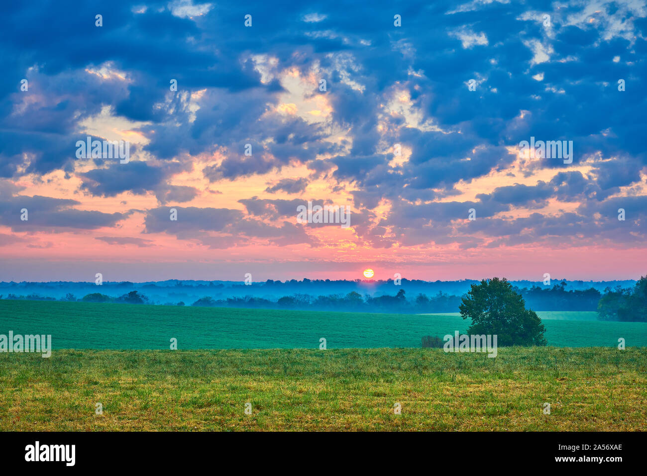 Sunrise over field hi-res stock photography and images - Alamy