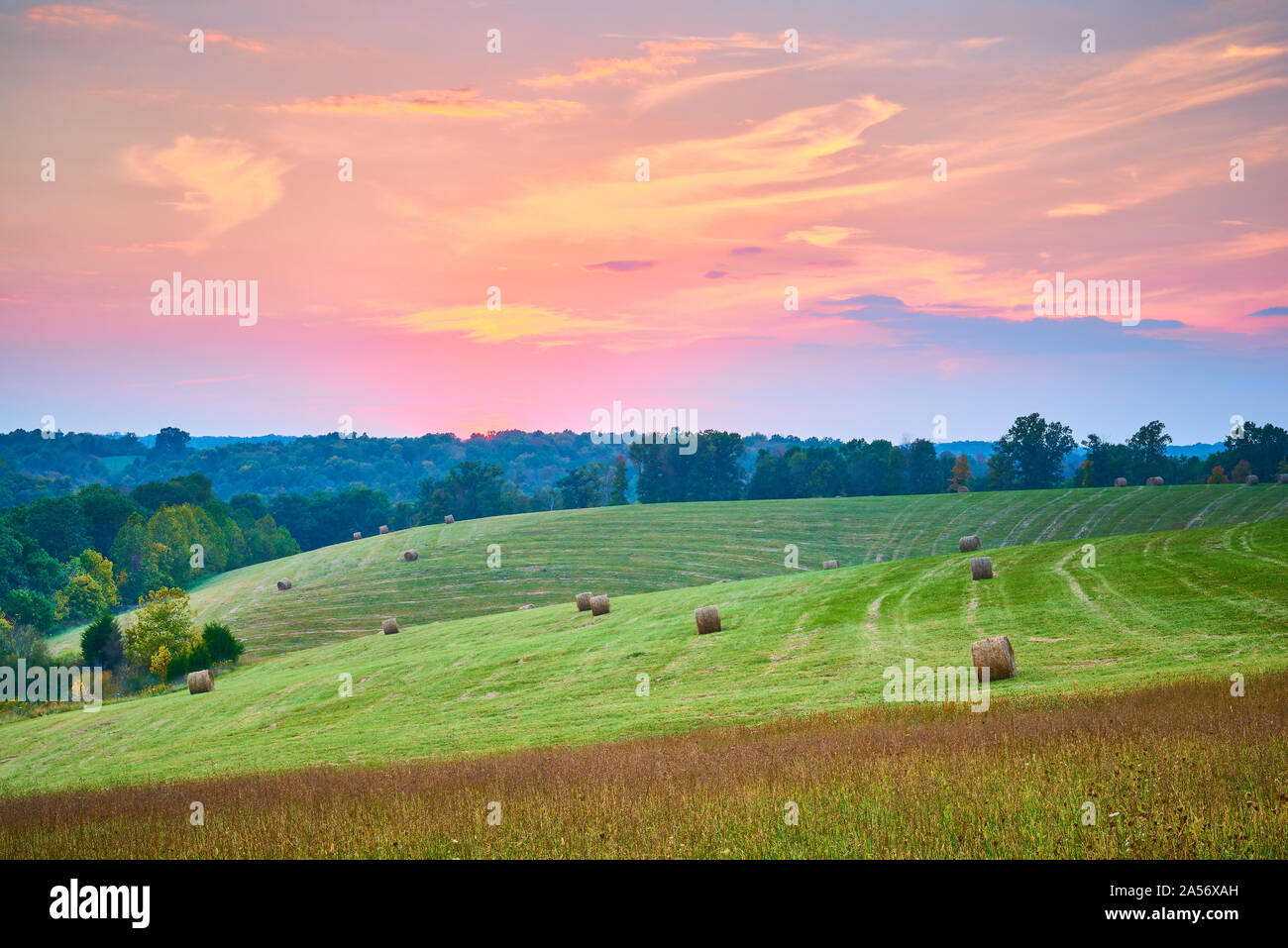 Hayfield hi-res stock photography and images - Alamy