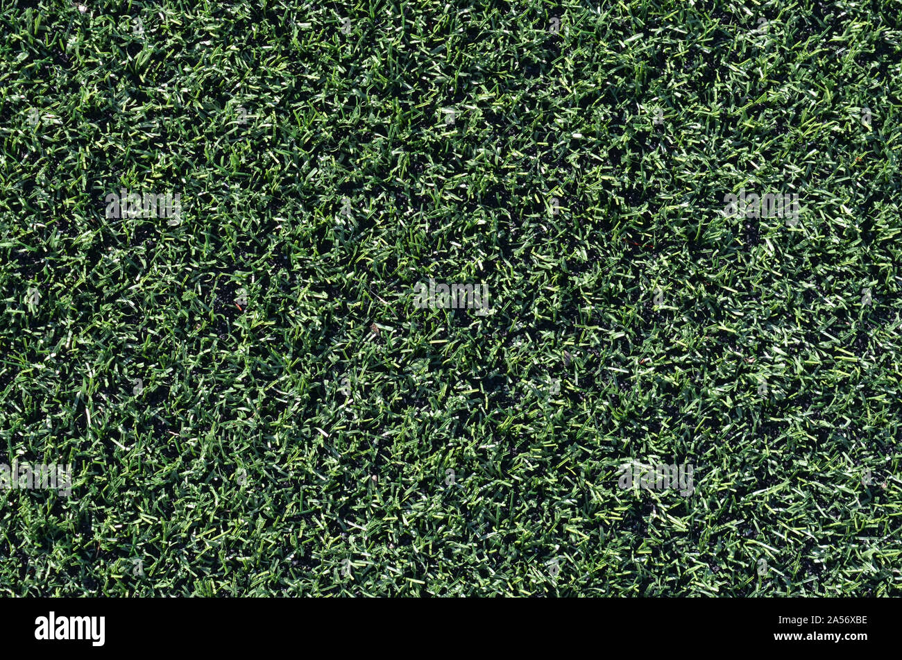 Playing field turf in different angles and with different colors and ...