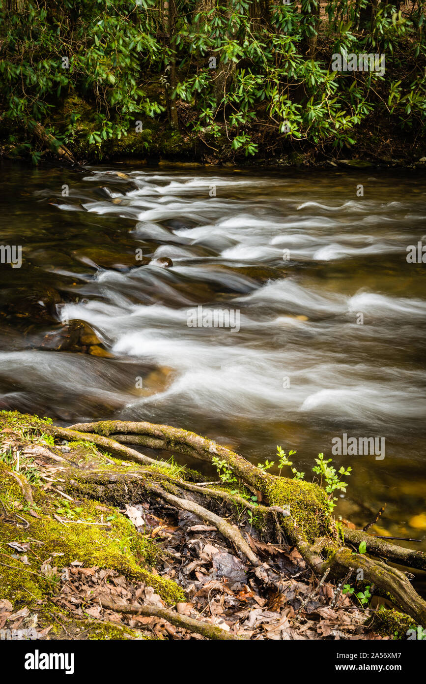 Tellico river hi-res stock photography and images - Alamy