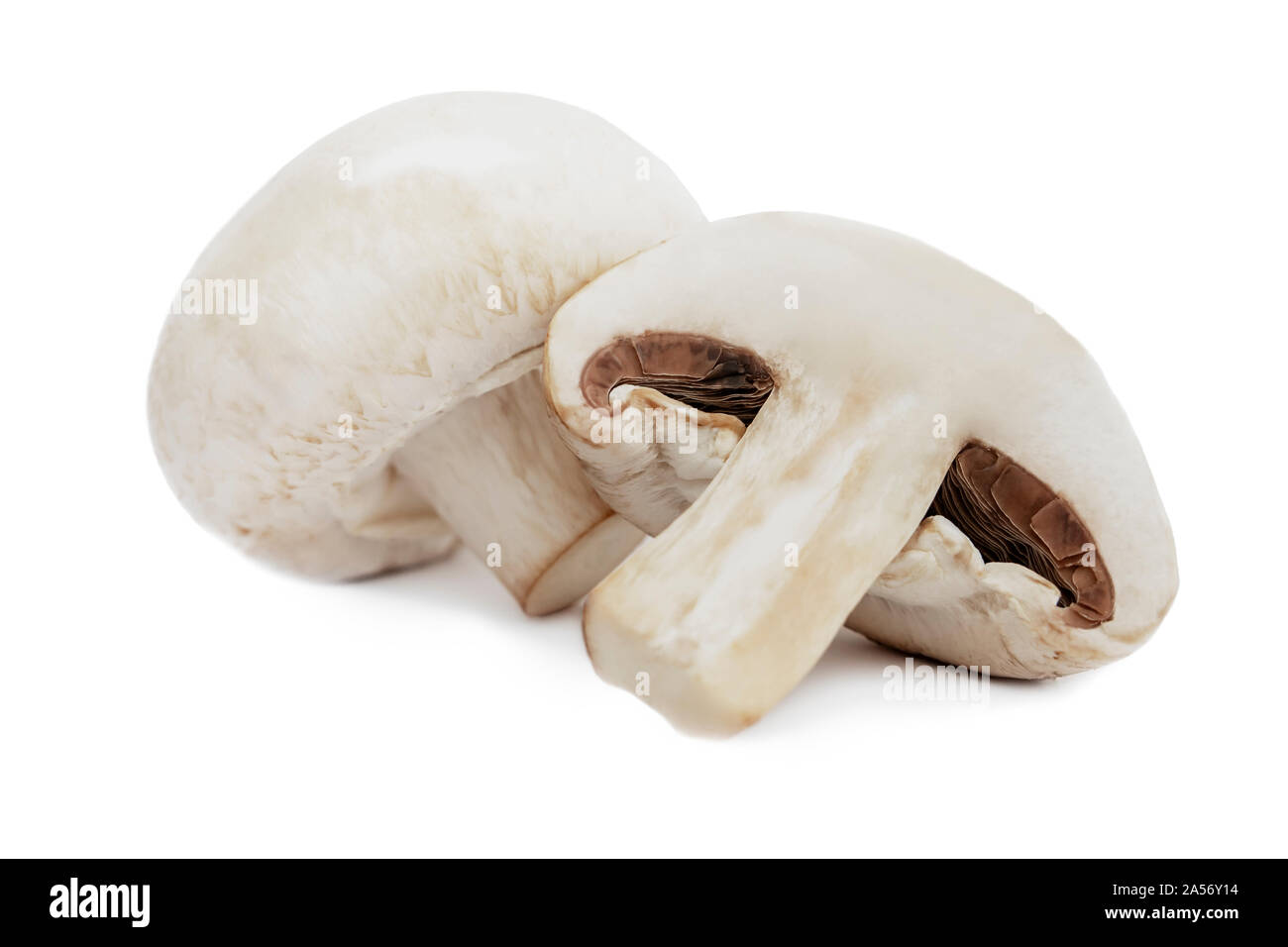 Champignon Mushrooms Isolated Stock Photo - Alamy
