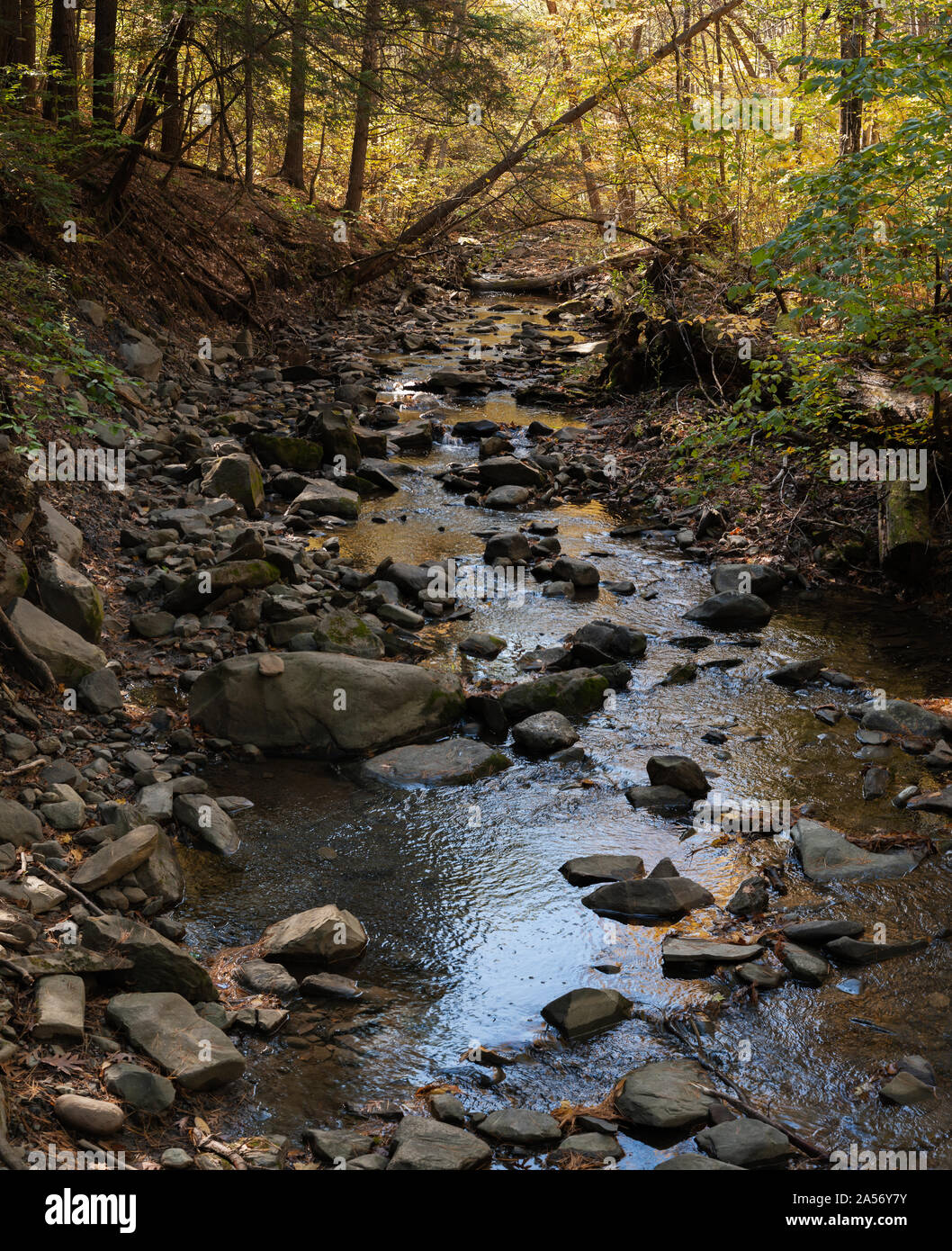Rocks in creek bed hi-res stock photography and images - Alamy