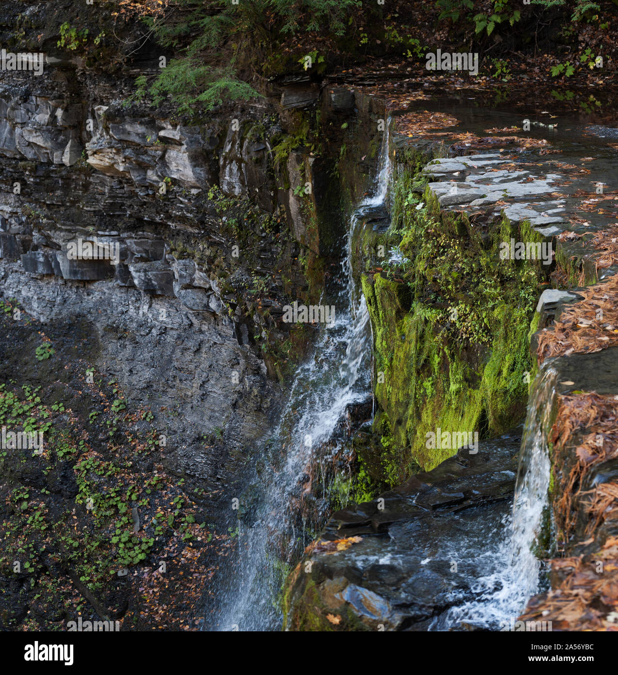 Water falling over cliff hi-res stock photography and images - Alamy