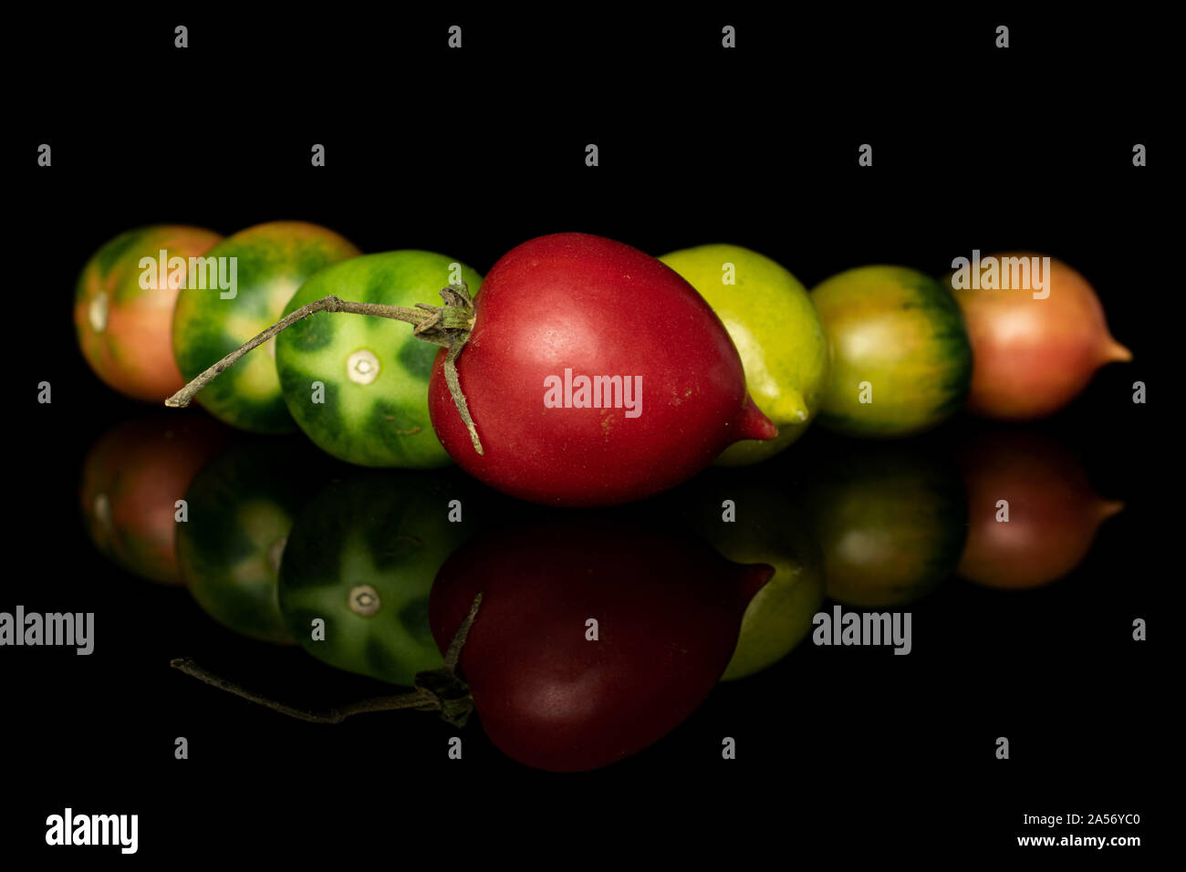 Group of seven whole fresh tomato de barao triangle isolated on black ...