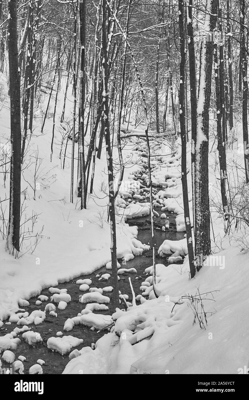 Water rocks stream forest Black and White Stock Photos & Images - Alamy