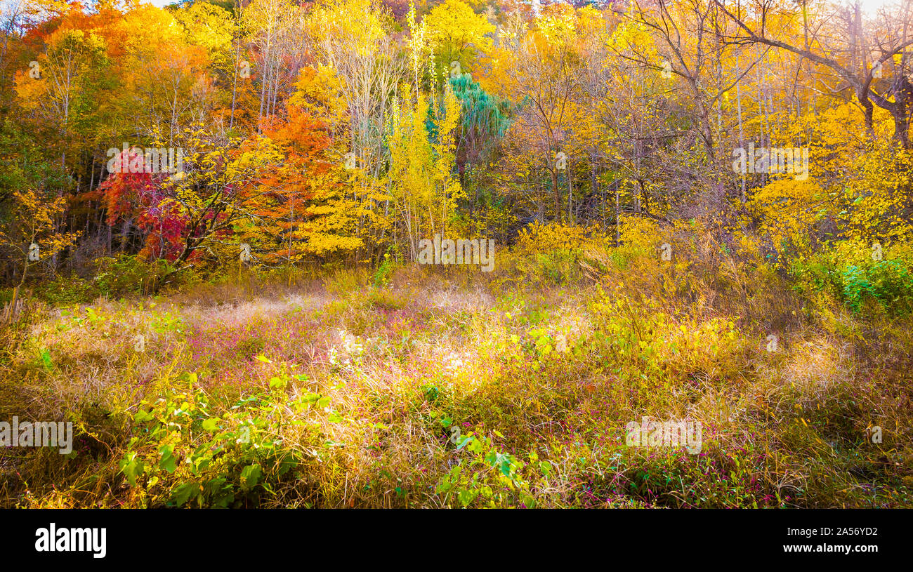 Late october hi-res stock photography and images - Alamy