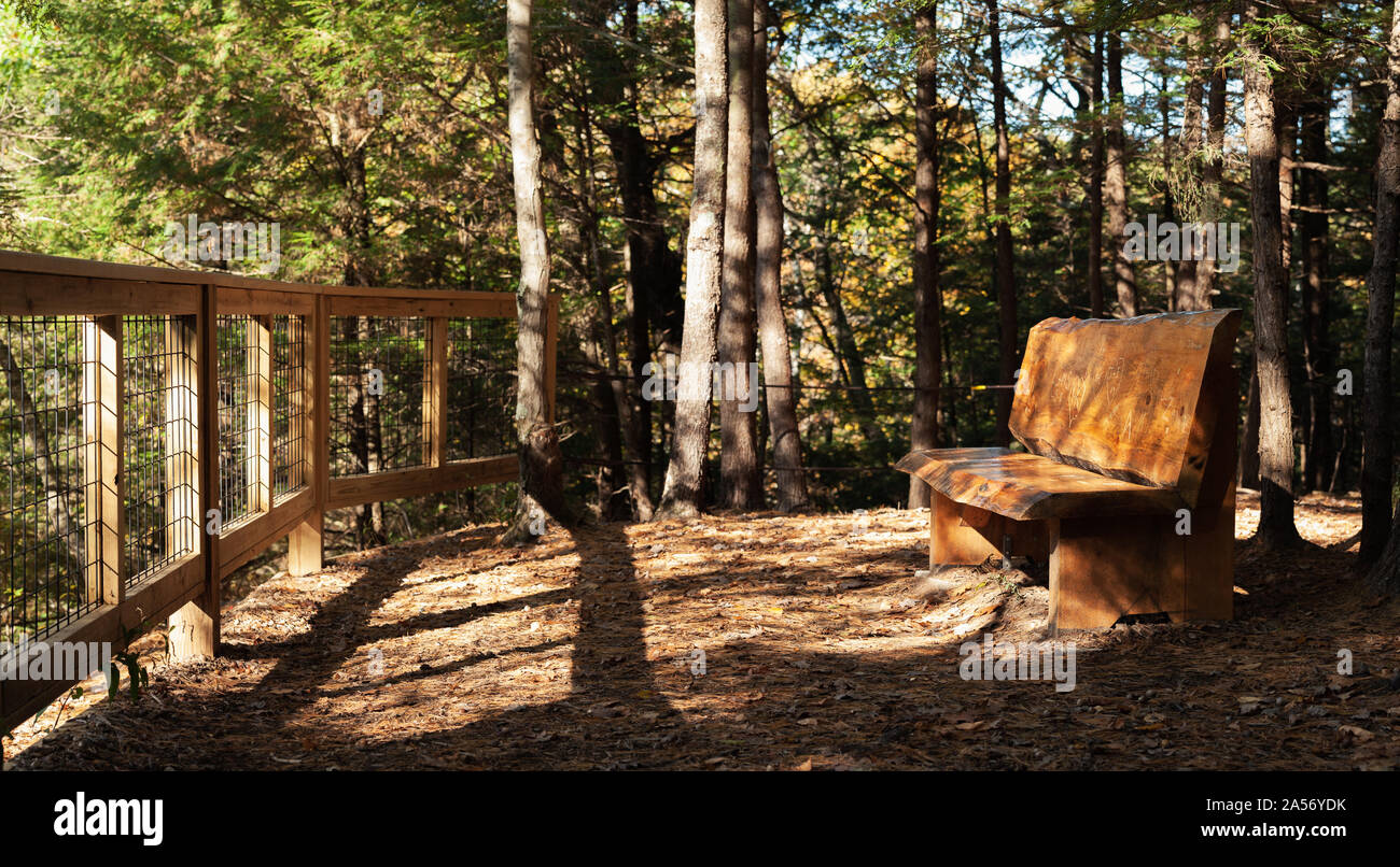 Wooden Bench in the Woods Stock Photo - Alamy