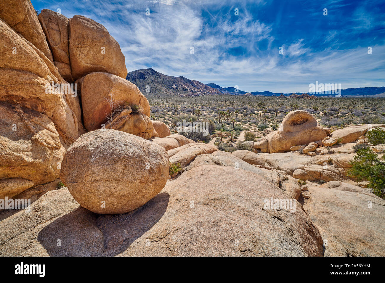 Hiking trail joshua tree national park hi-res stock photography and ...