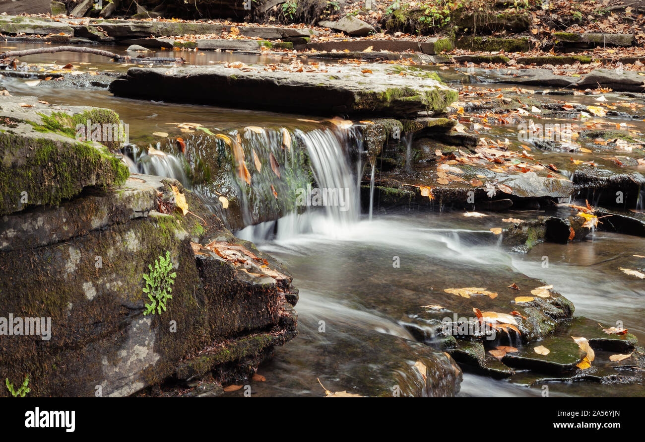 Rocks in creek bed hi-res stock photography and images - Alamy