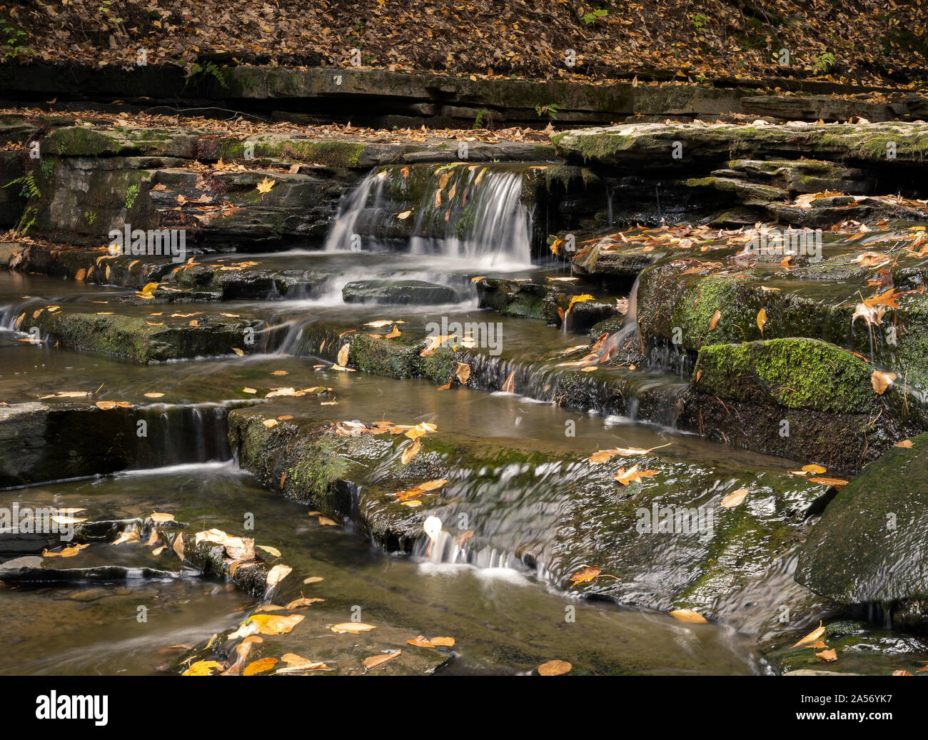 Rocks in creek bed hi-res stock photography and images - Alamy