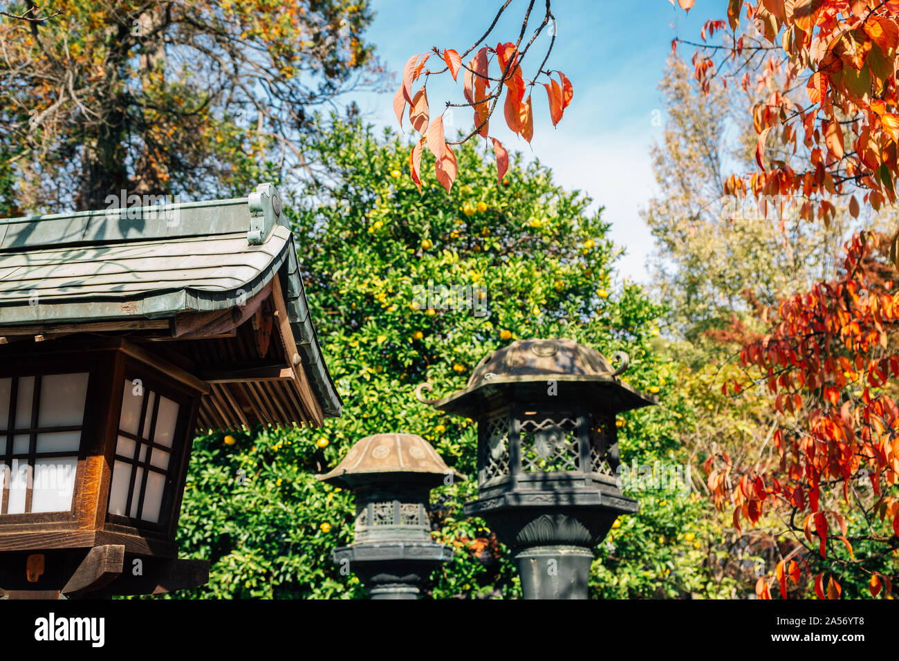 Toshogu shinto shrine tokyo hi-res stock photography and images - Alamy