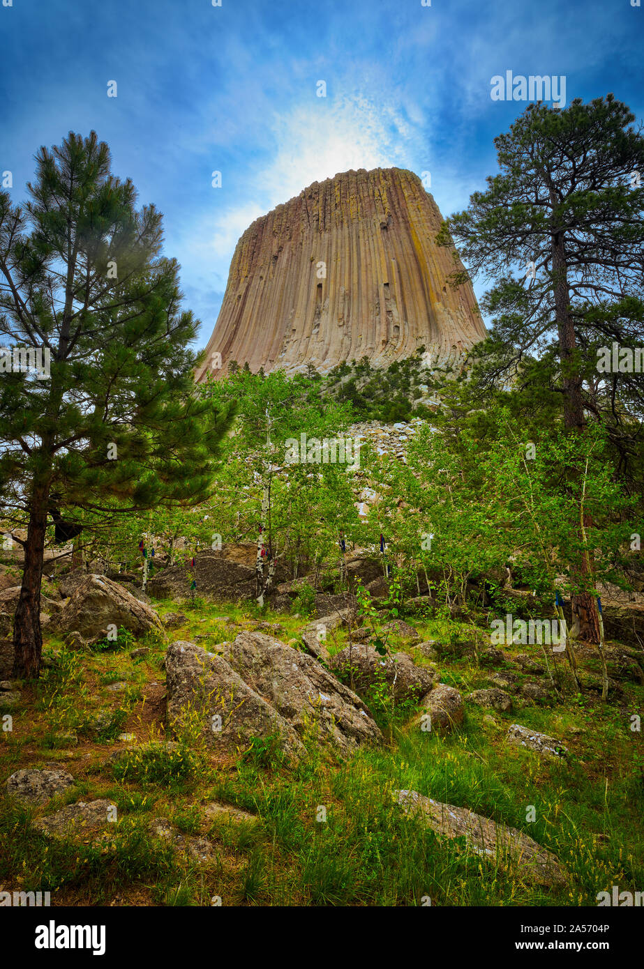 Devils Tower view through the trees Stock Photo - Alamy