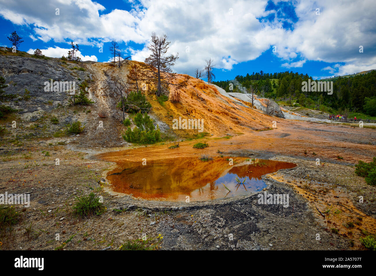 Yellowstone geothermal pools hi-res stock photography and images - Alamy