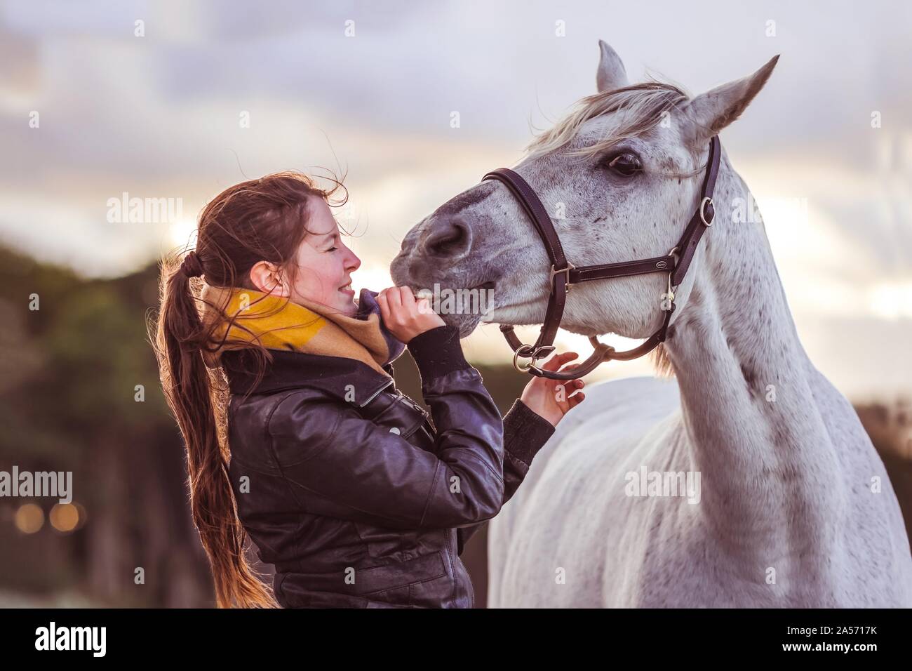 woman and arabian horse Stock Photo - Alamy