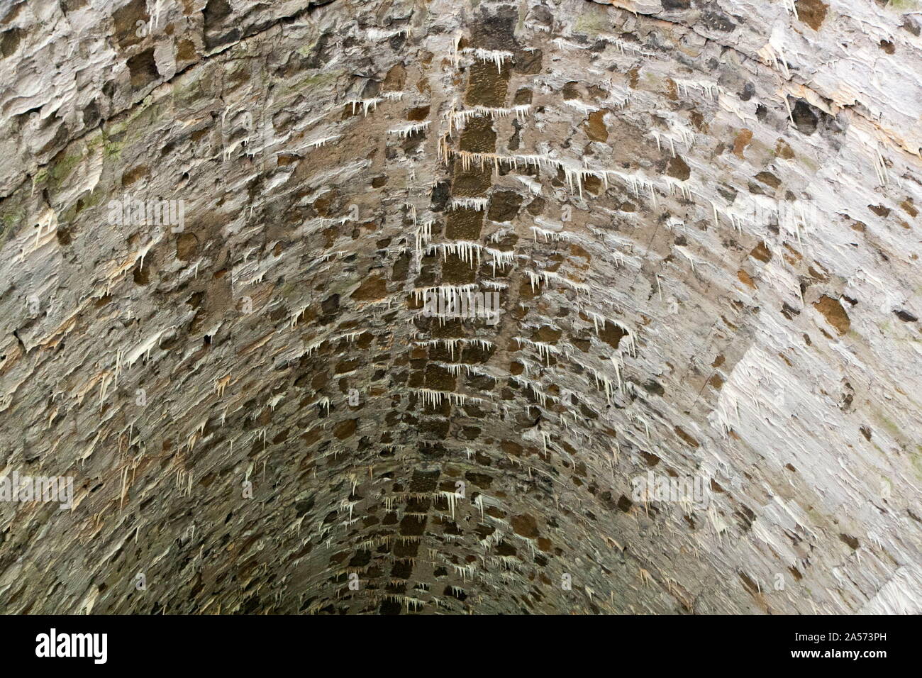 Calcareous detail hi-res stock photography and images - Alamy