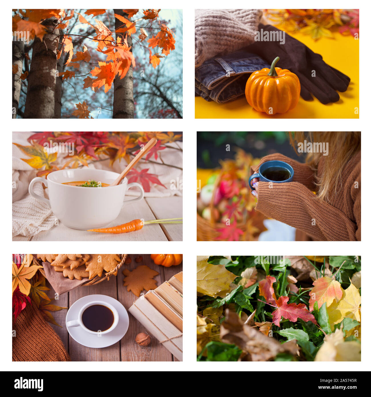 Harvest time colorful fall Cut Out Stock Images & Pictures - Alamy