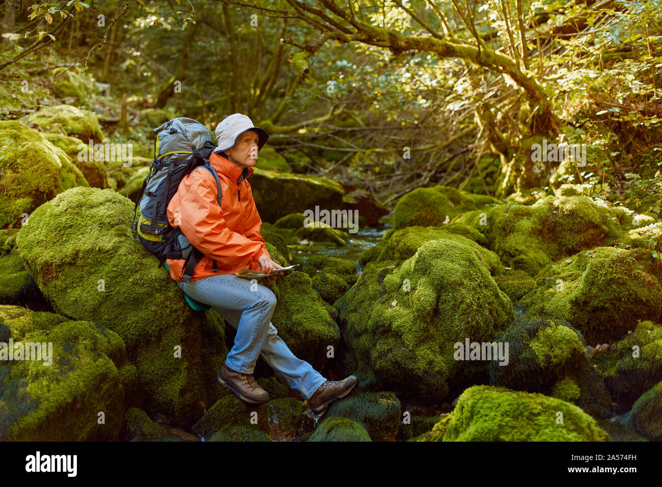 Hidden path hi-res stock photography and images - Alamy