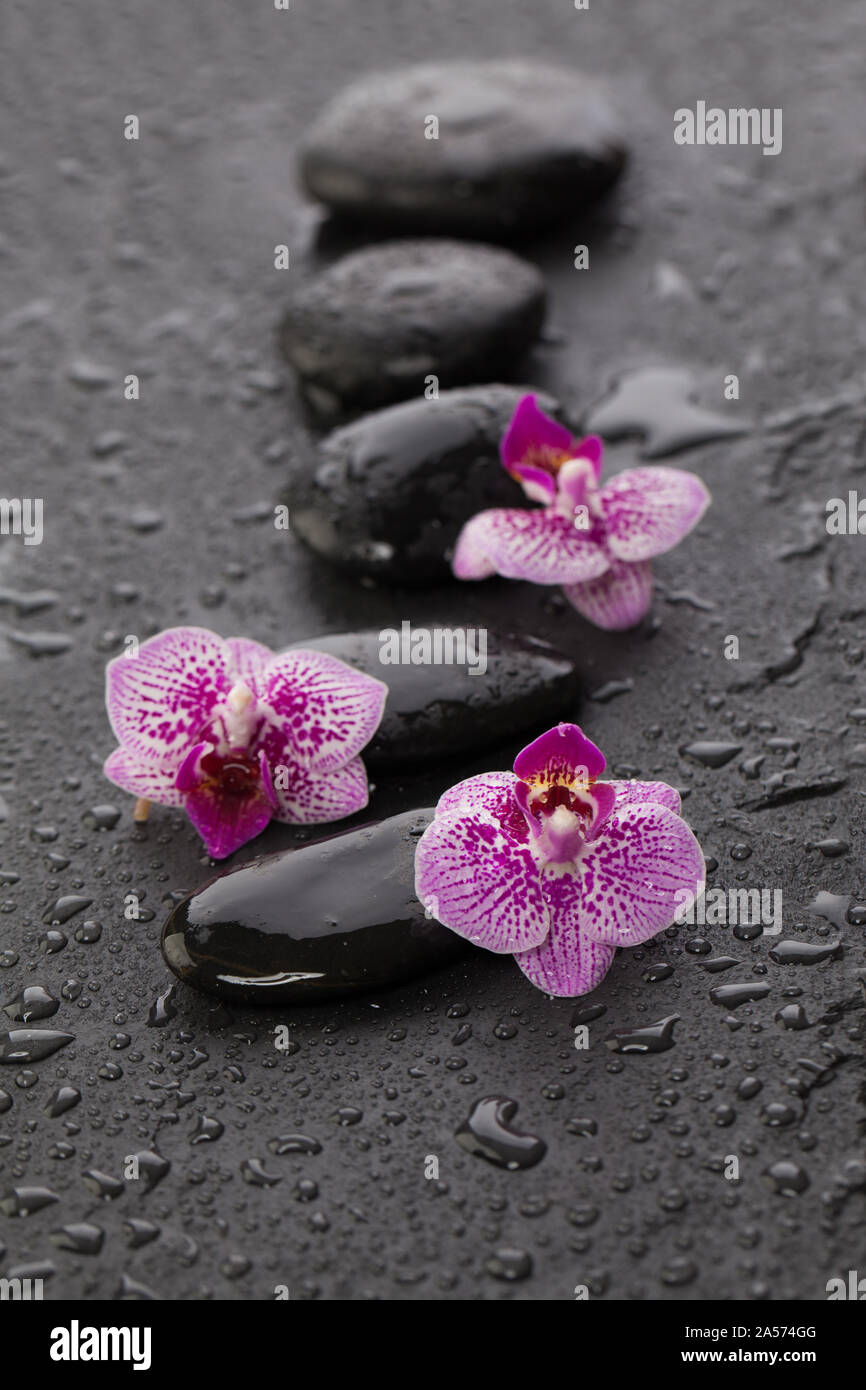 Zen water flowers hi-res stock photography and images - Alamy