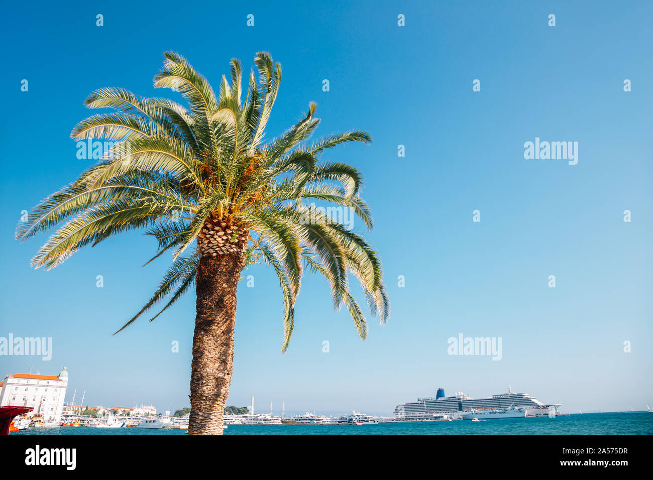 Palm tree and sea at Riva street in Split, Croatia Stock Photo - Alamy