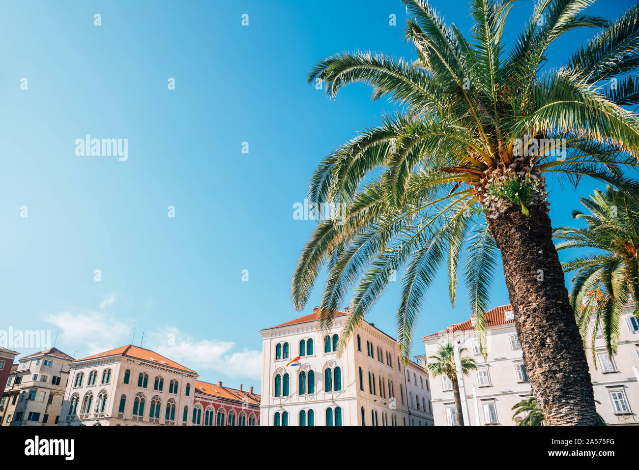 Palm tree and old buildings at Riva street in Split, Croatia Stock ...