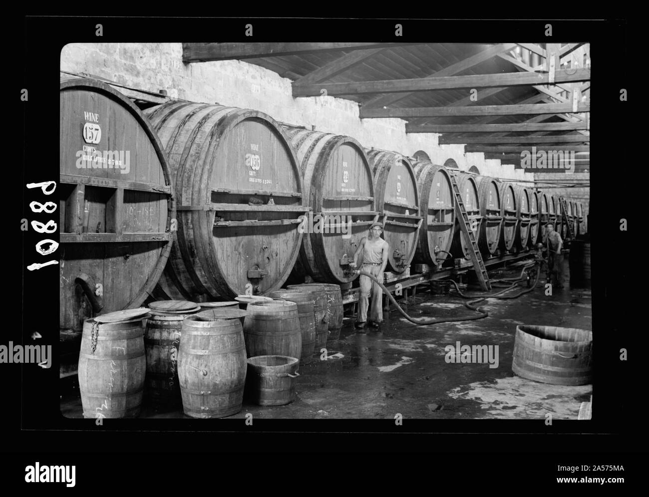 Fermentation of life Black and White Stock Photos & Images - Alamy