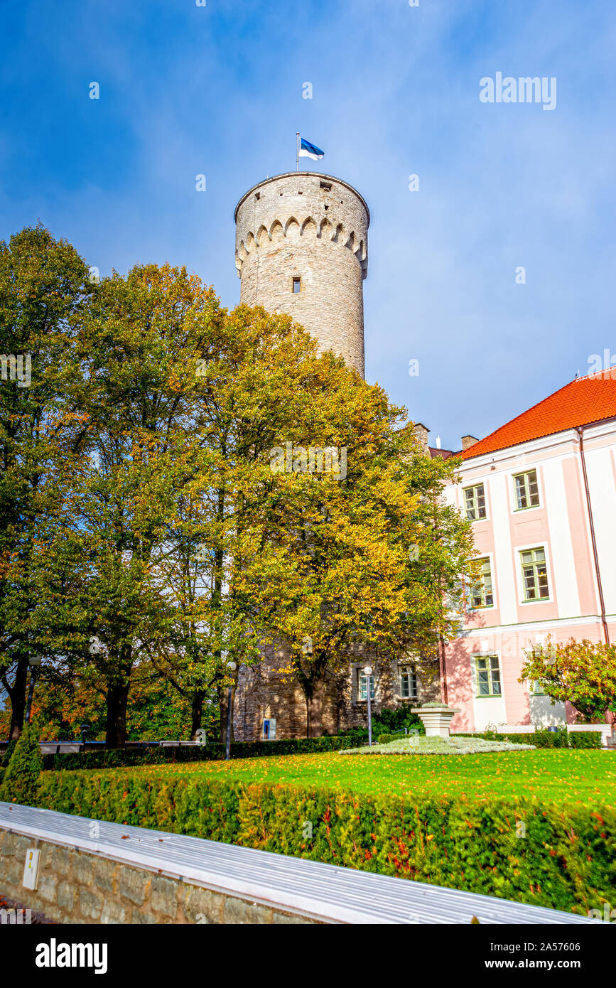 Tall Hermann tower in Tallinn old town in Estonia Stock Photo - Alamy