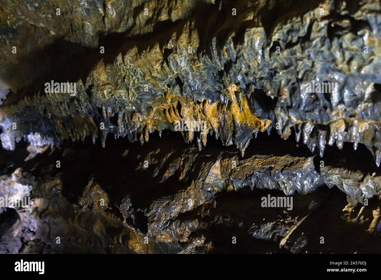 The wall of the lava cave is covered with a fungal coating. The view ...