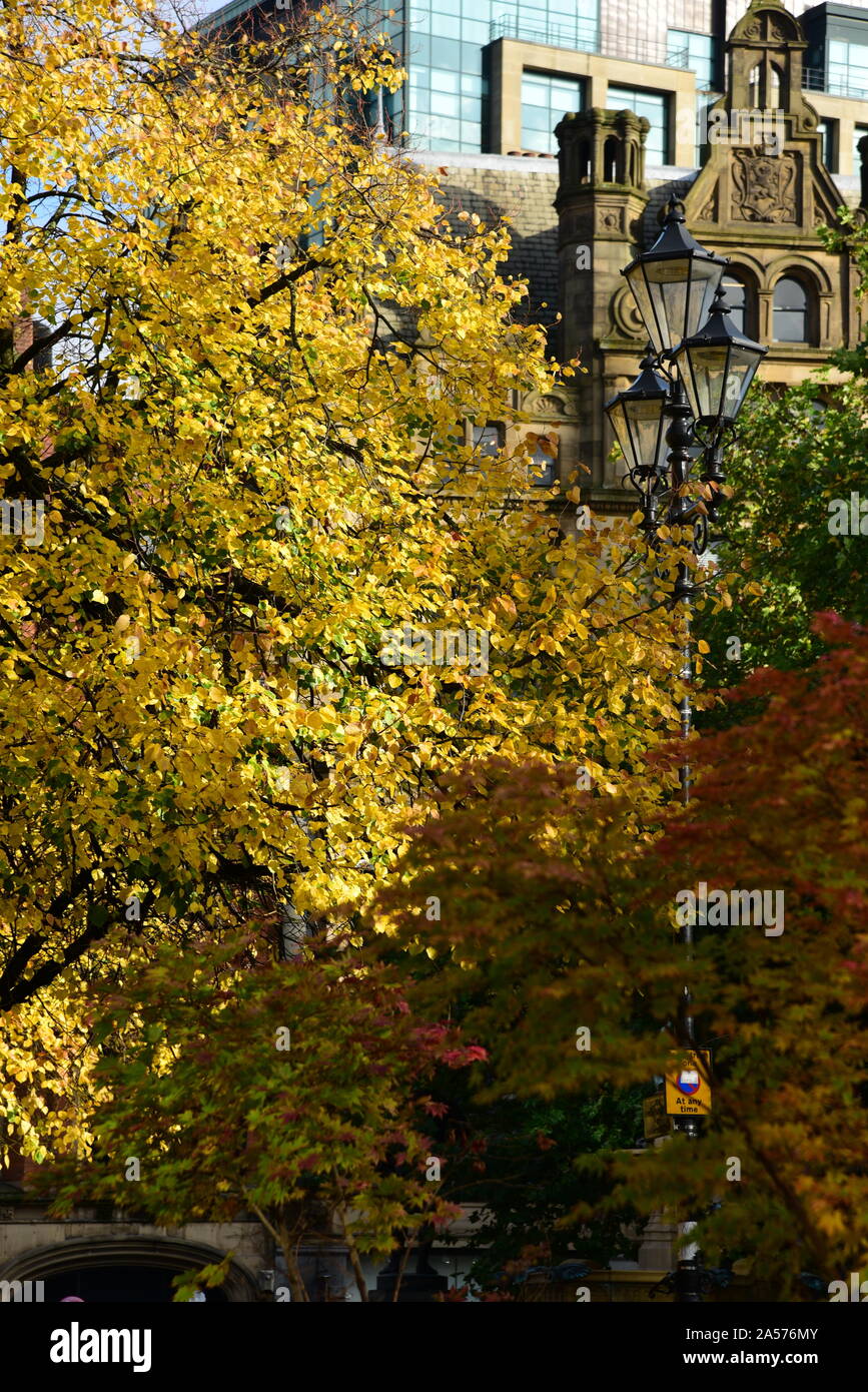 Manchesters autumn season hi-res stock photography and images - Alamy