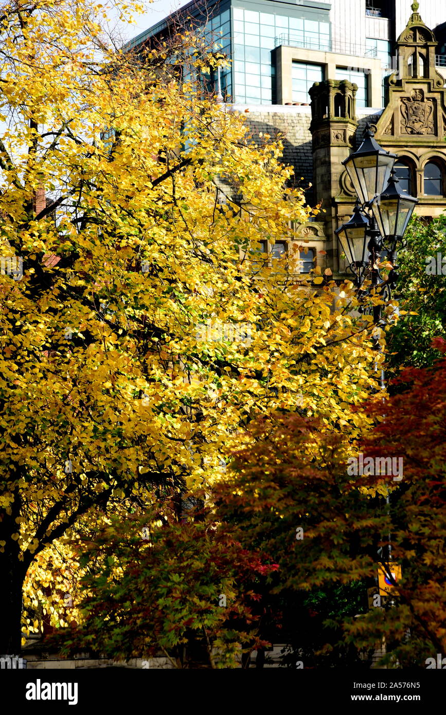 Manchesters autumn season hi-res stock photography and images - Alamy