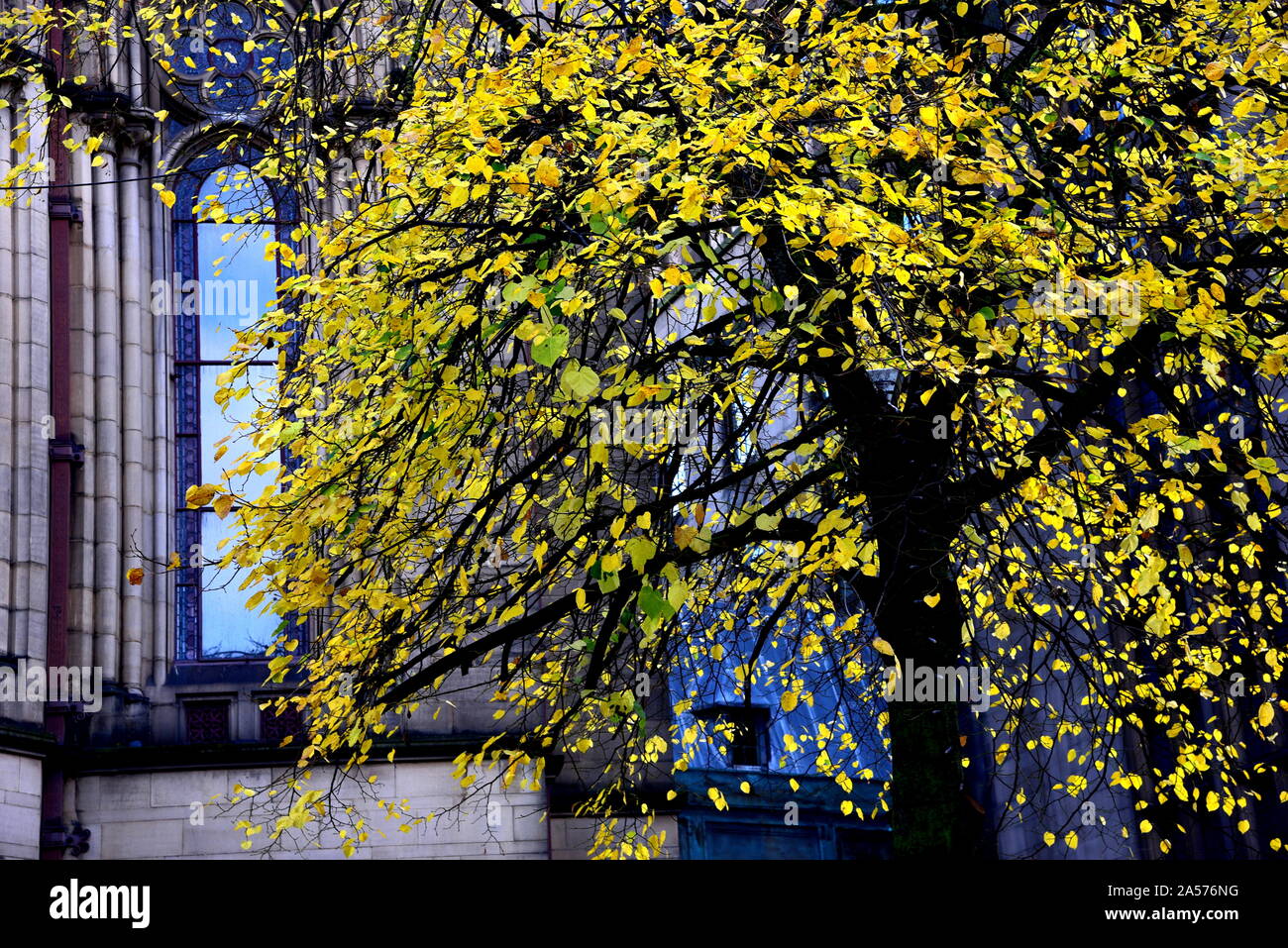 Autumnal colour in manchester hi-res stock photography and images - Alamy