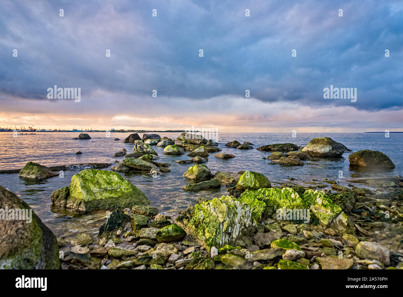 Baltic sea beach in Tallinn Estonia Stock Photo - Alamy
