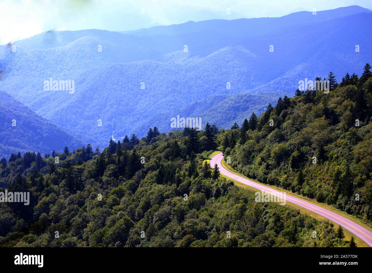 Beautiful shot forest hill hi-res stock photography and images - Alamy