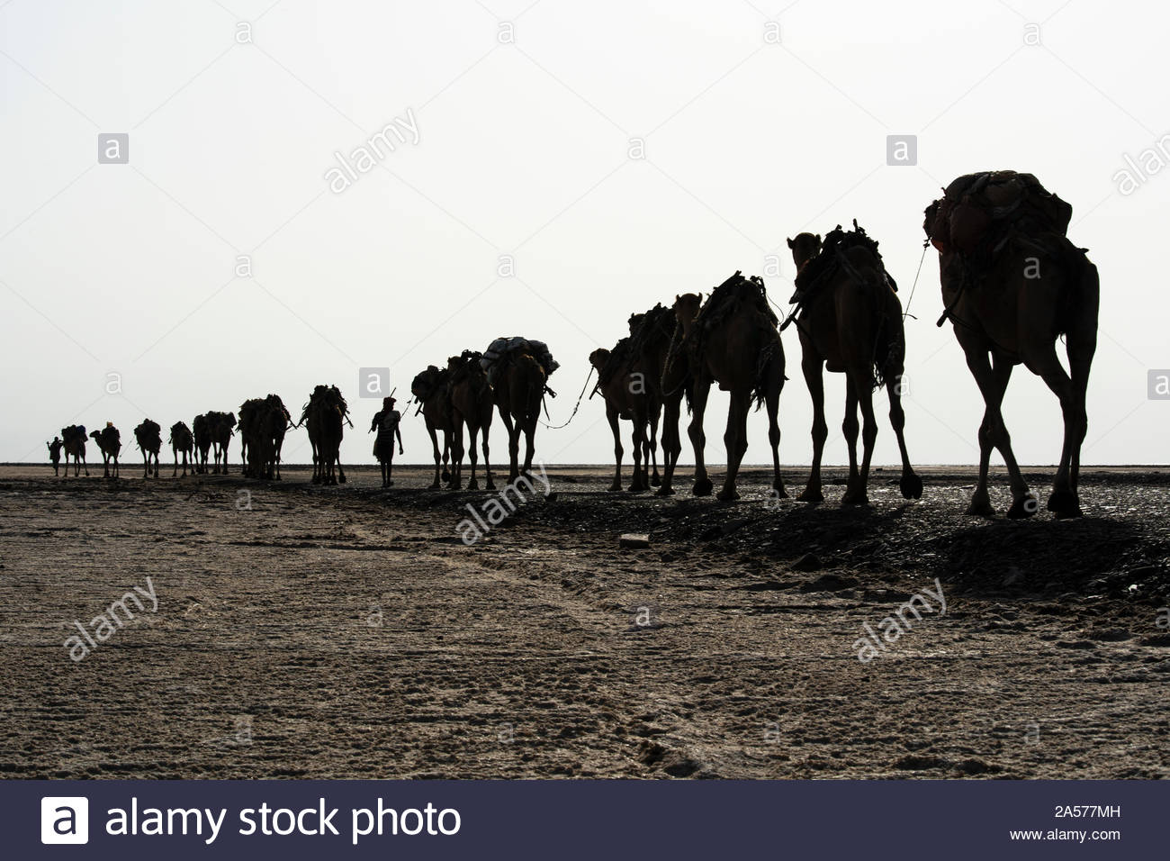 Afar People Stock Photos & Afar People Stock Images - Alamy