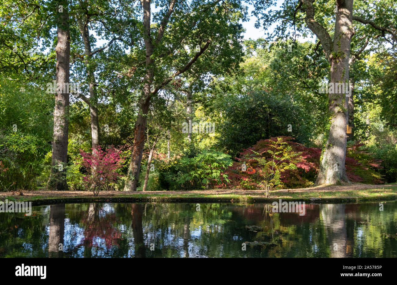 Lake at the garden of Exbury House, near Beaulieu in Hampshire, UK ...