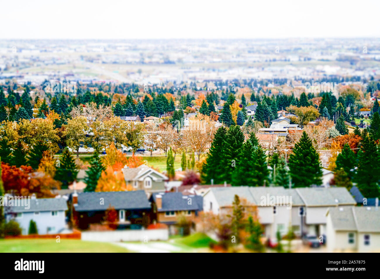 Calgary residential houses in fall autumn - tilt shift Stock Photo - Alamy