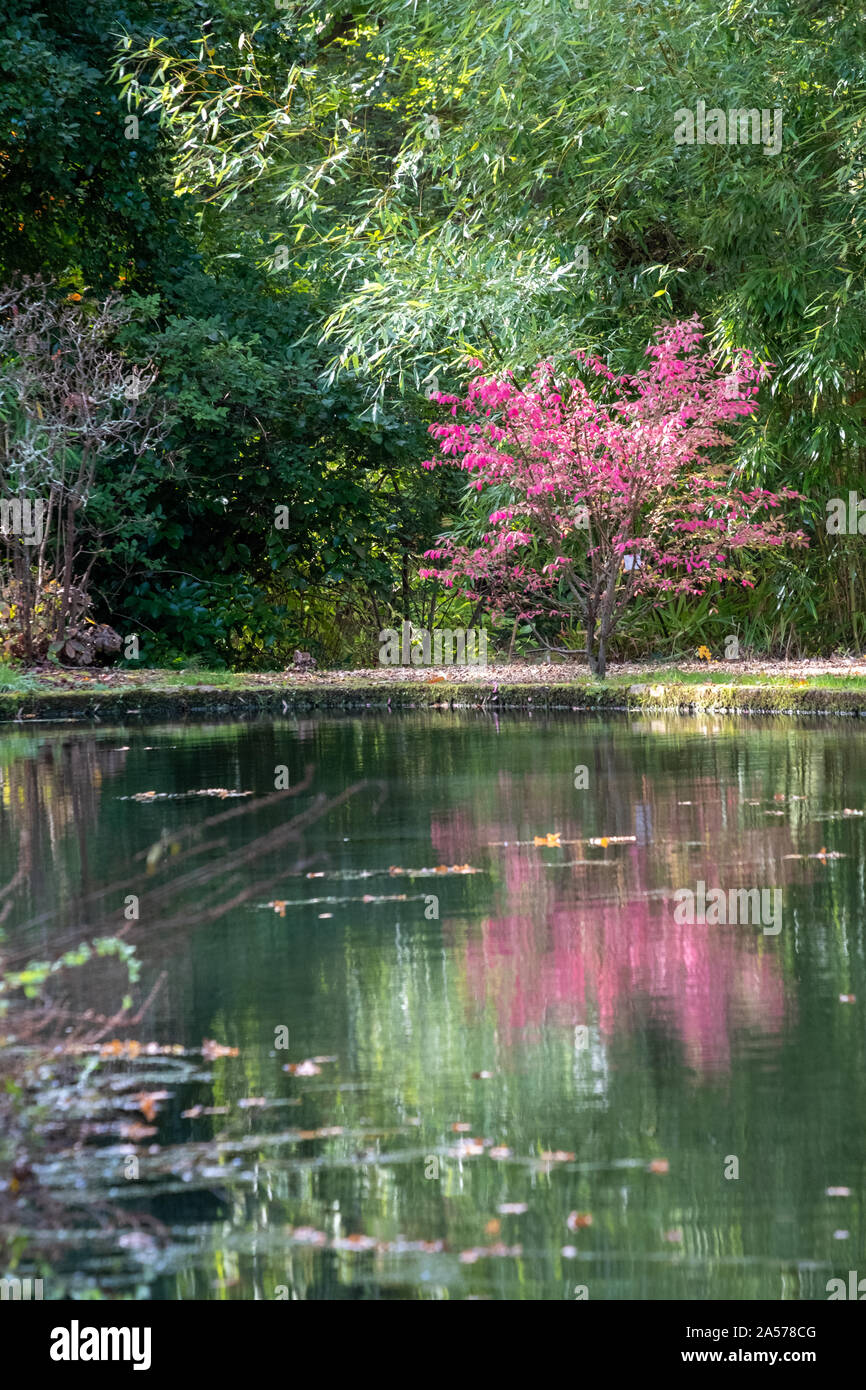 Lake at the garden of Exbury House, near Beaulieu in Hampshire, UK ...