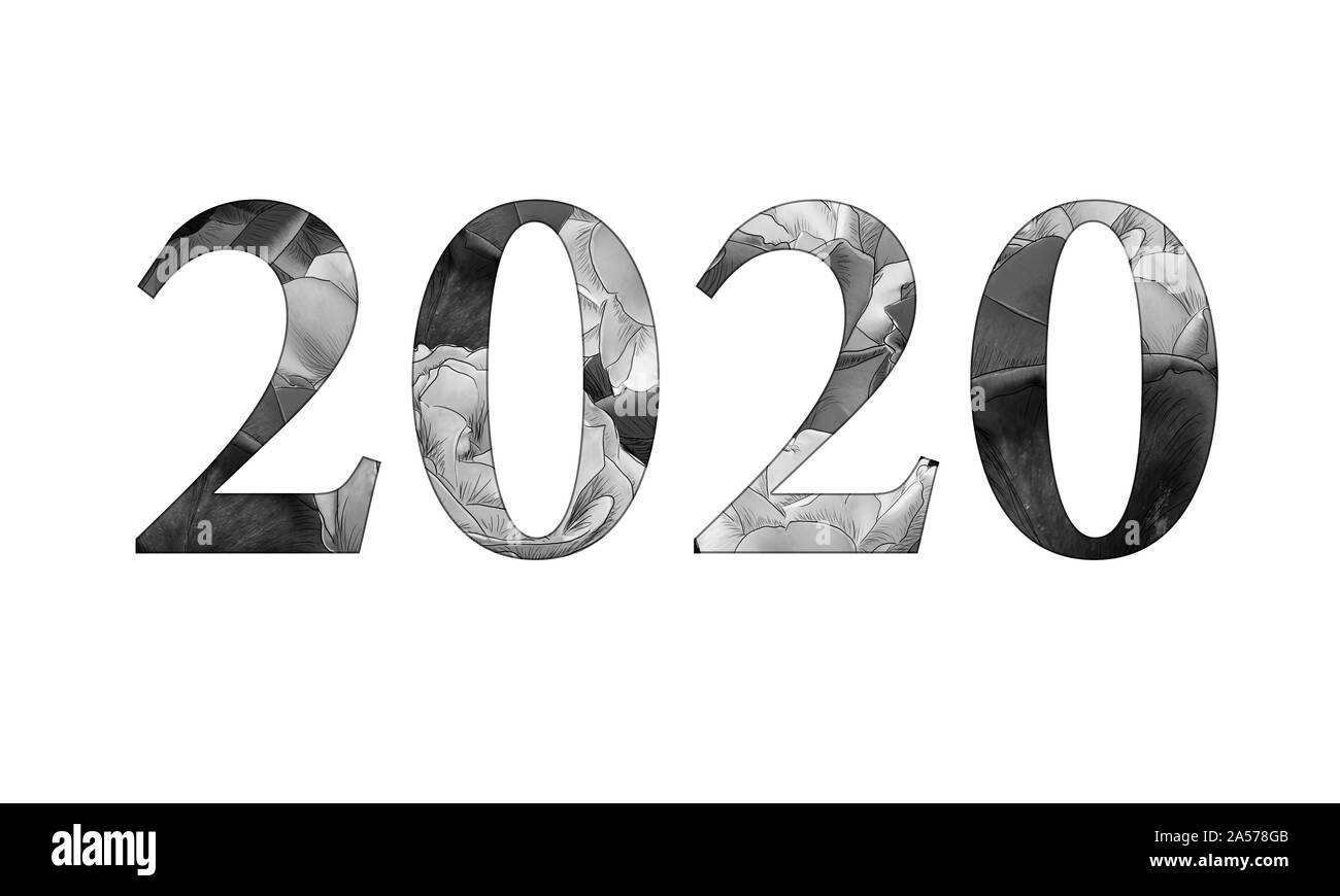 Illustration roses year 2020 monochrome white background by jziprian ...