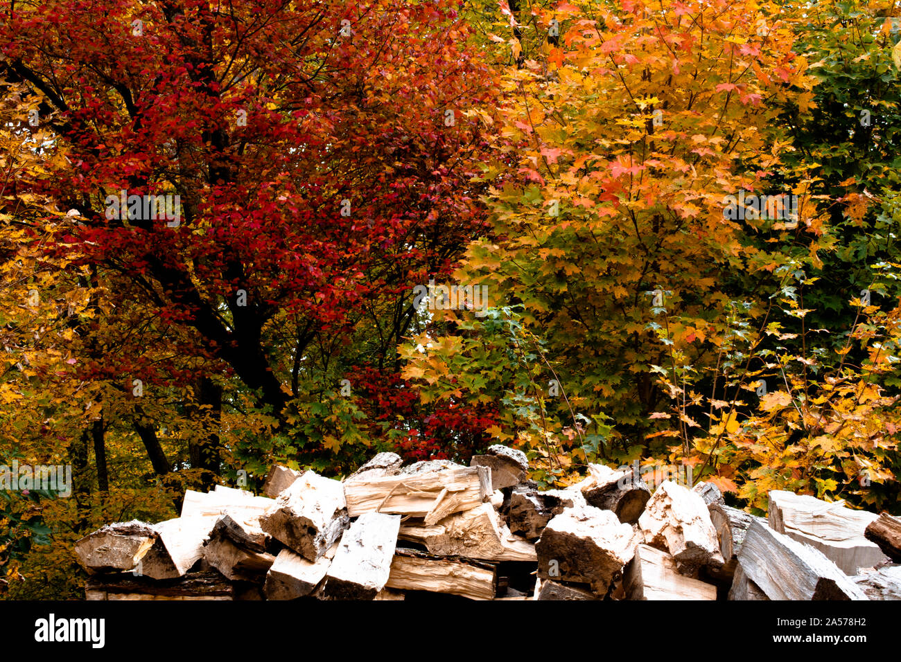 Splendid colors hi-res stock photography and images - Alamy